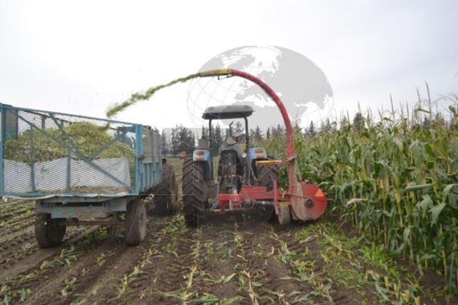 La CSN des industriels d'aliments pour bétails appelle à fournir le son ...