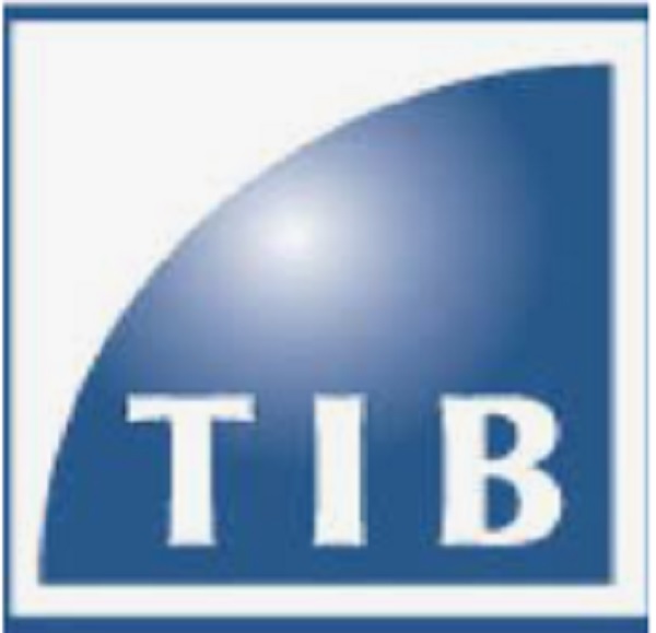 Les chiffres de la TIB pour 2021 s'affaissent | African Manager