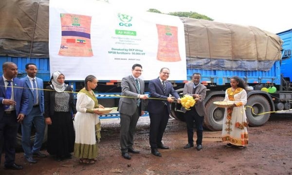 OCP fait don de 50.000 tonnes d’engrais à l'Ethiopie | African Manager