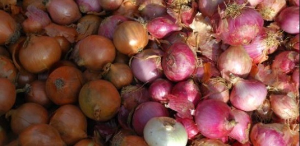 150 tonnes d'oignon dans un entrepôt anarchique | African Manager