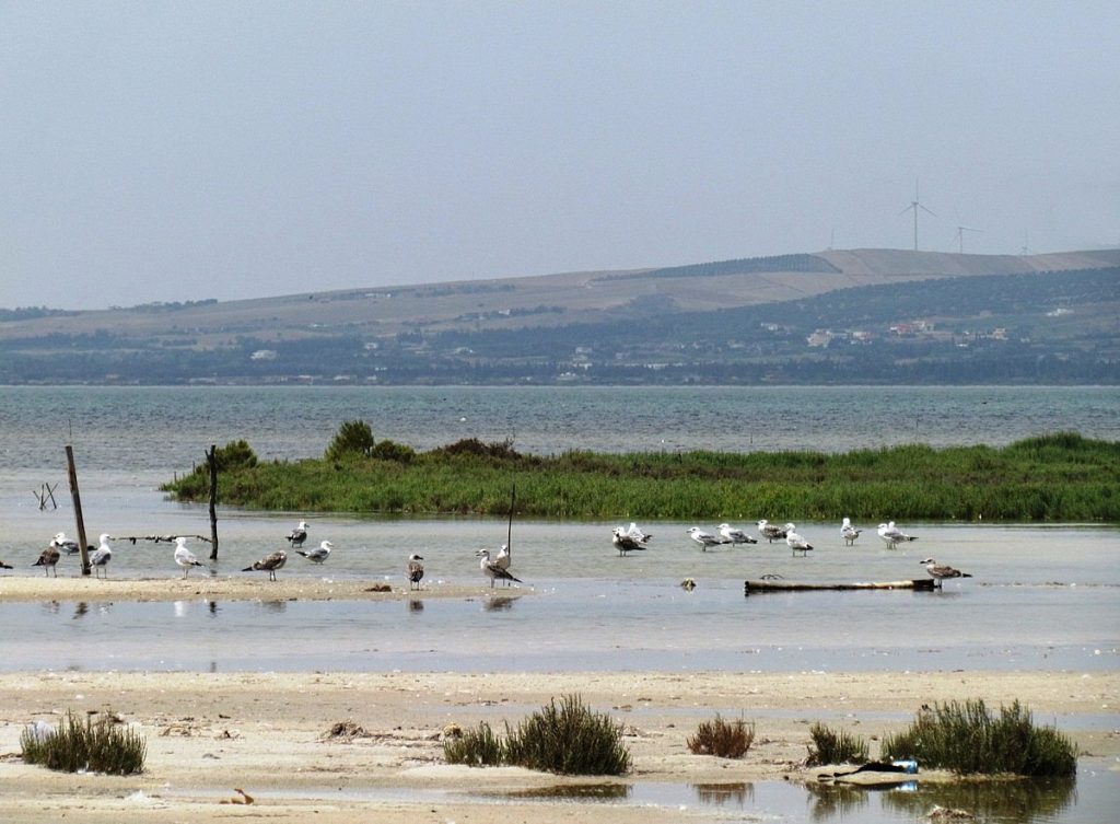 La lagune de Ghar El Melh, classée site de démonstration ...