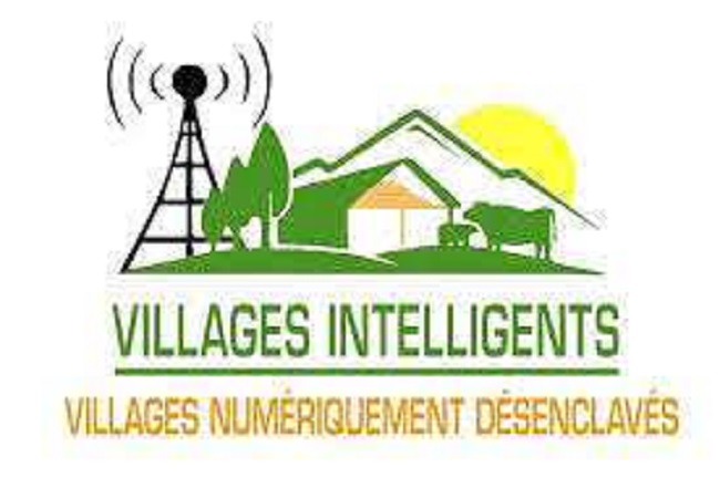 Les «Villages intelligents» du Niger | African Manager