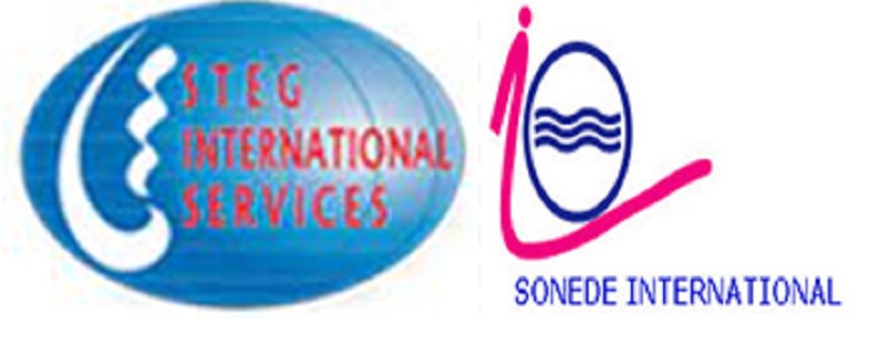Steg et Sonede : Déficitaires en local, bénéficiaires à l'étranger ...