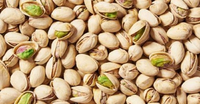 Gafsa : La production des pistaches estimée à 2 mille tonnes | African ...