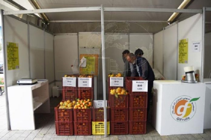 La clémentine en vente du producteur au consommateur à l'Avenue ...