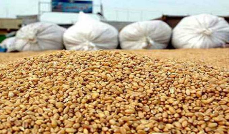 L’Algérie achète entre 600 000 et 700 000 tonnes de blé tendre ...