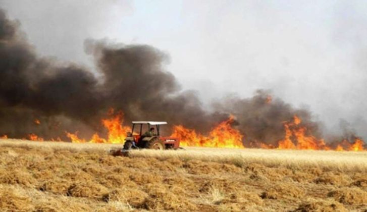 10 hectares de céréales ravagés à Chouigui, le feu maîtrisé | African ...