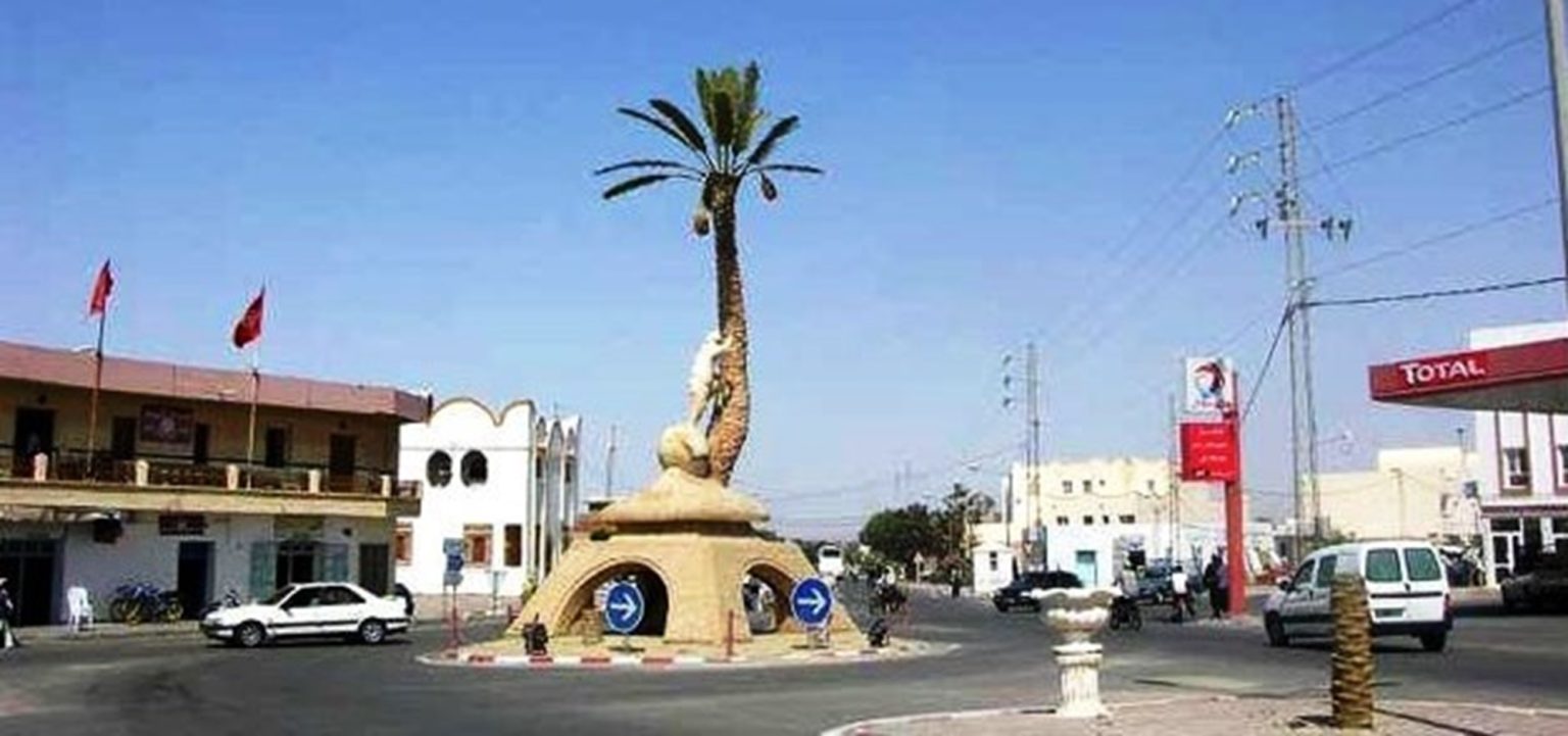 Kébili : Avancement du projet d'extension des cultures géothermiques ...