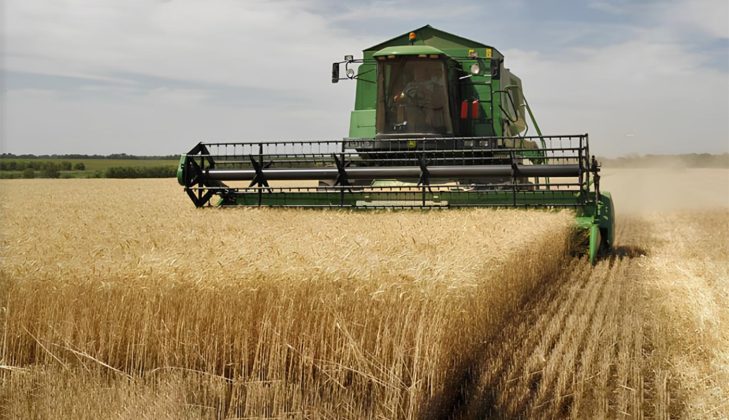 Béja : Démarrage de la saison de moisson dans six délégations | African ...